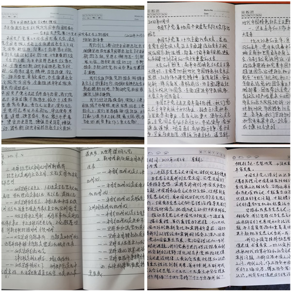 嵩阳中心幼儿园 嵩阳中心幼儿园学区学习宣传贯彻党的二十大精神学校时讯dfedu